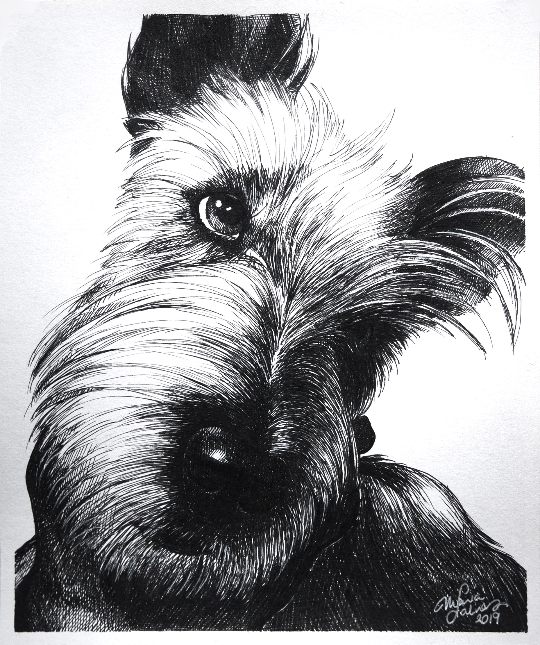 Retratos de animales - María Salinas Arte