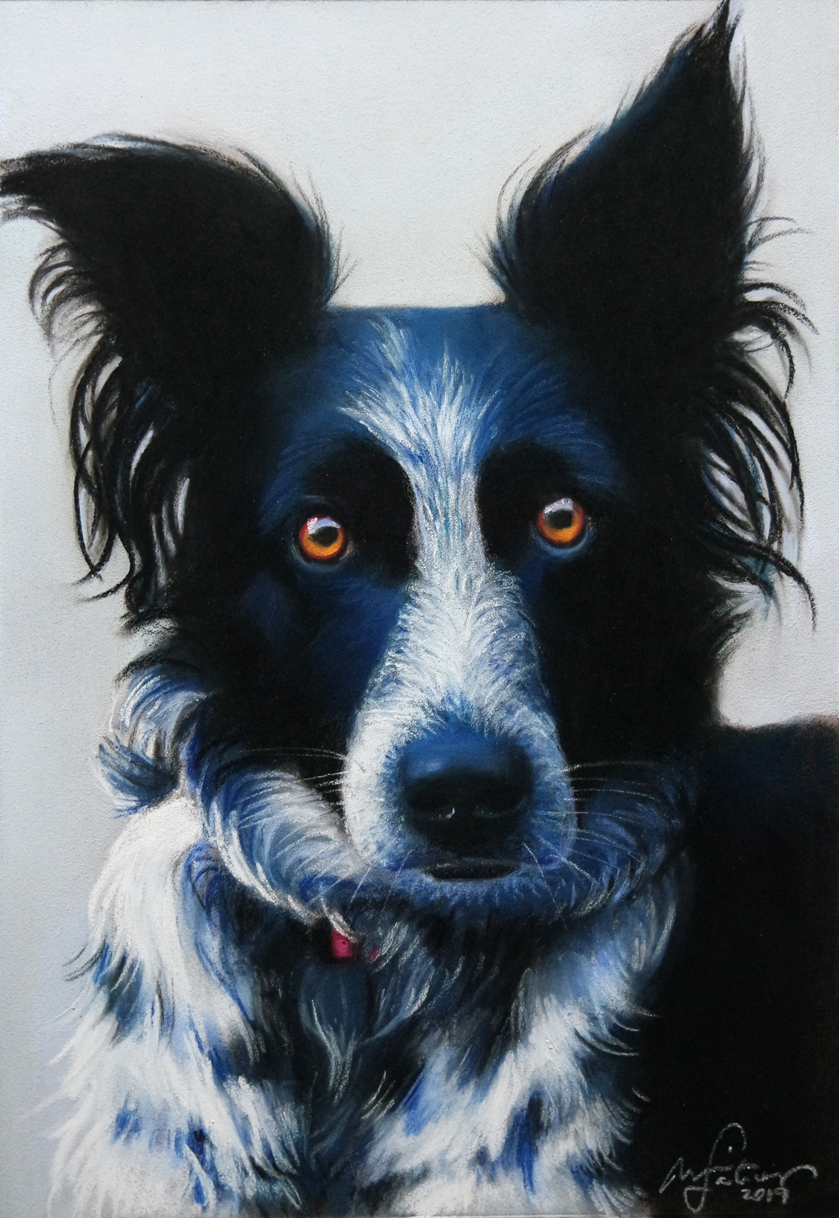Retratos de animales - María Salinas Arte